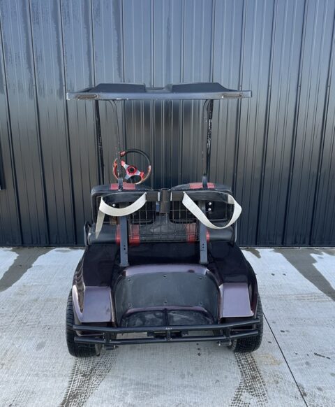 1990 Club Car DS 2 Passenger Electric Golf Cart - All Season Golf Cars